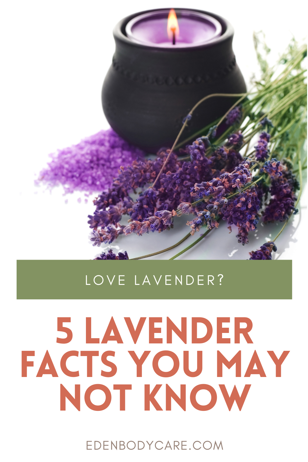 5 Lavender Facts You May Not Know – Eden Body Care